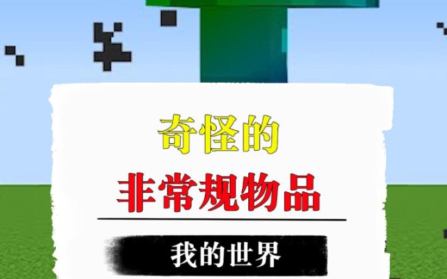 我的世界:你从没见过的奇葩物品,每个看起来都非常怪诞