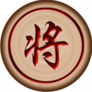 小赵讲象棋 