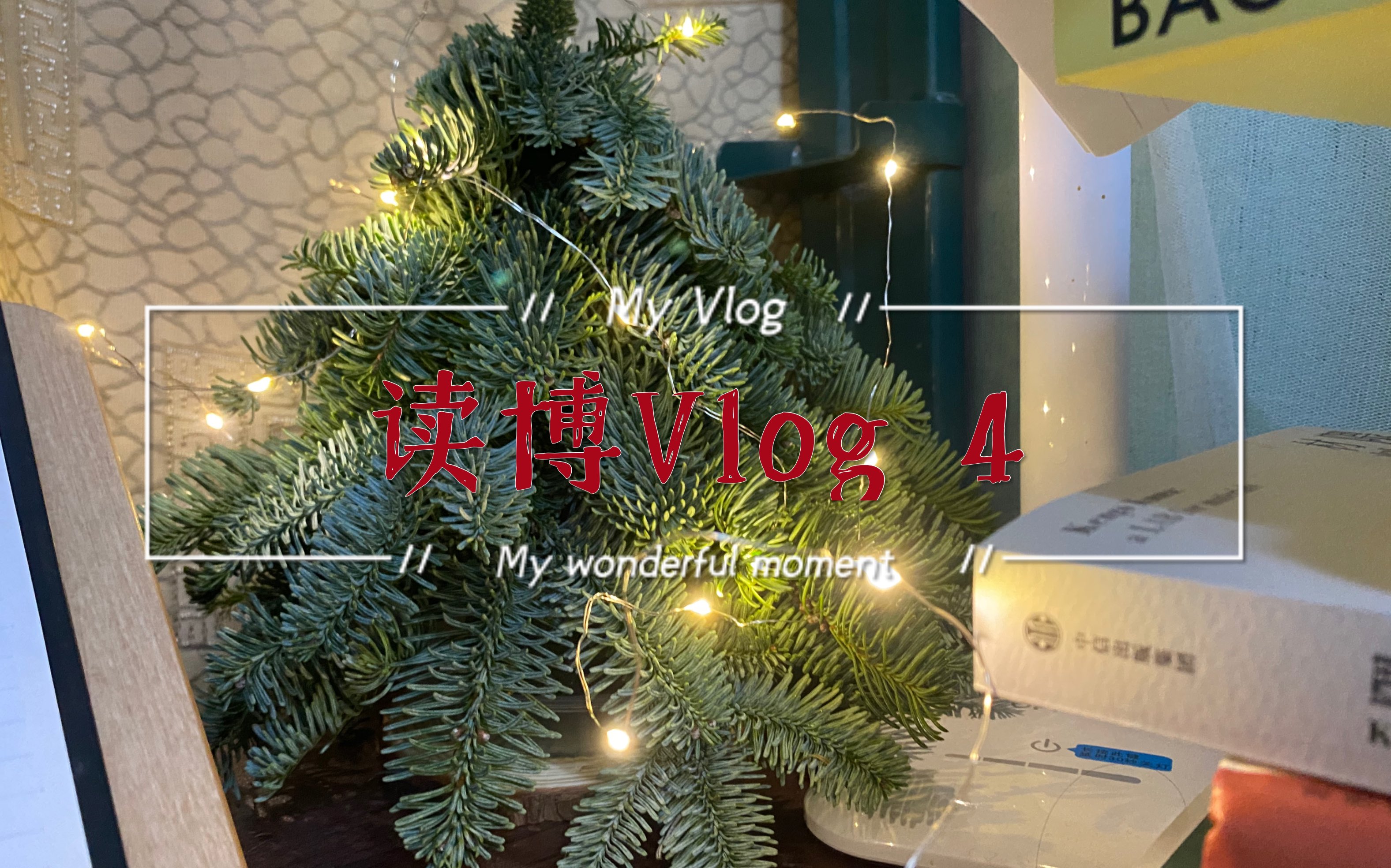 读博Vlog 4.|阅读|“放青松” DIY桌面小森林 好想露营|线上开会|晚饭兼...