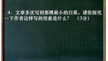 小升初语文模拟试题讲解第十四套讲解.wmv