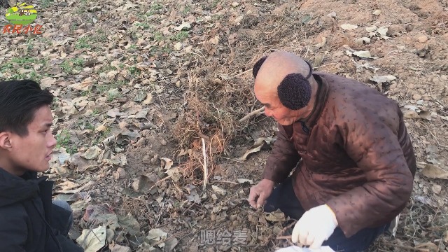 土地流转对农民来说是好是坏?农村