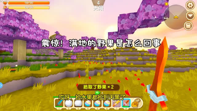 迷你世界宠物进化这是天降野果雨了满地的野果捡都捡不完