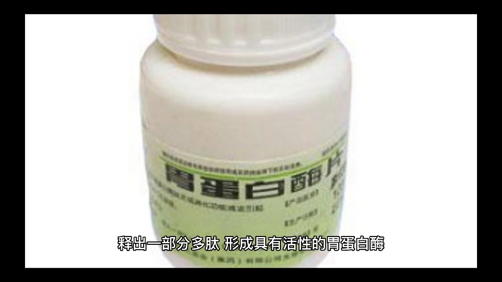 蛋白质的消化吸收
