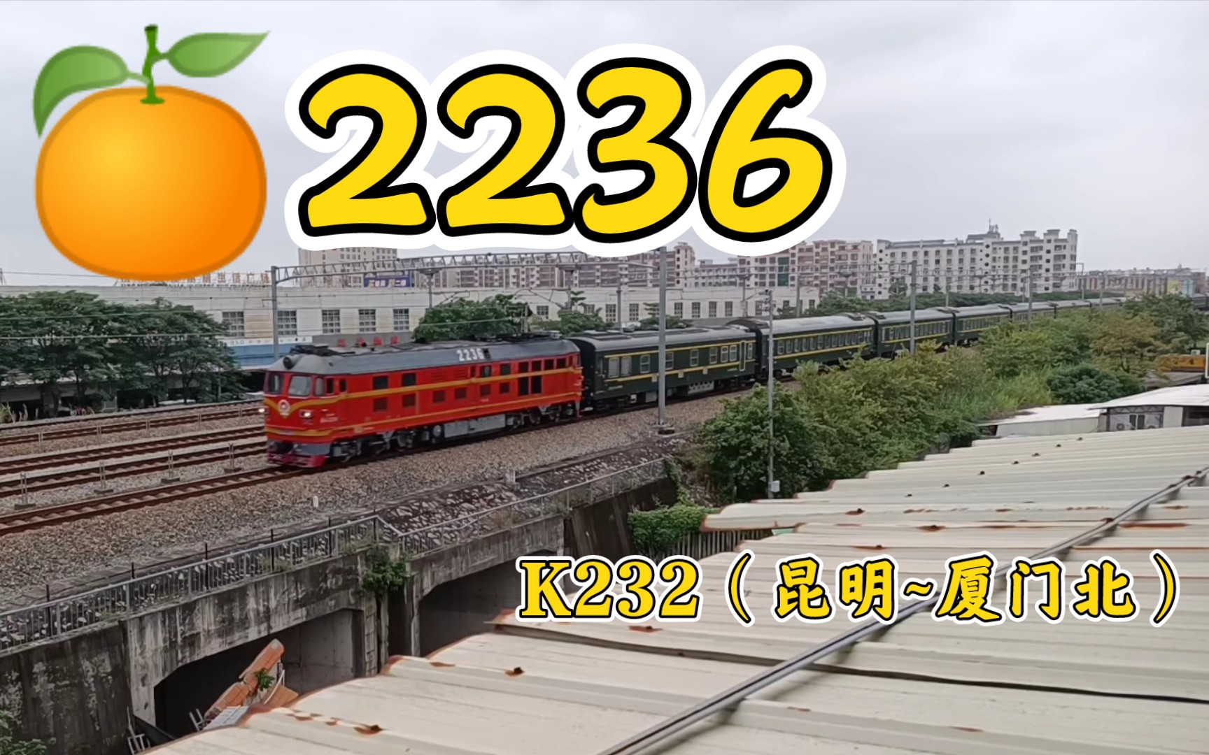 【ߍ�2236】橘子2236牵引K232次(昆明~厦门北)旅客列车,茂名站10...