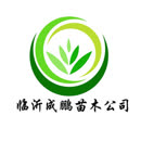 山东成鹏苗木公司 