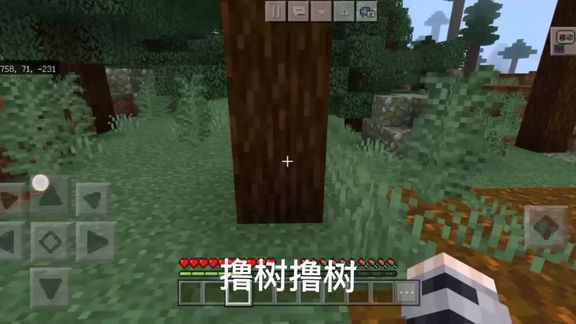 Him:头一次发现他们不怎么怕我