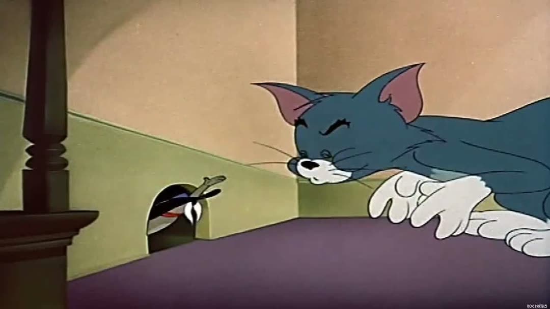 猫和老鼠全集-动漫-高清 第十集(1)