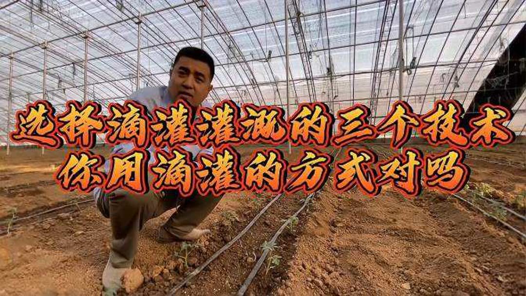 选择滴灌灌溉时的三个技术,你的滴灌灌溉方式对吗?学习应用起来