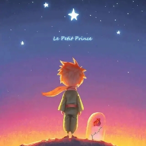 你好哇我找周星星 