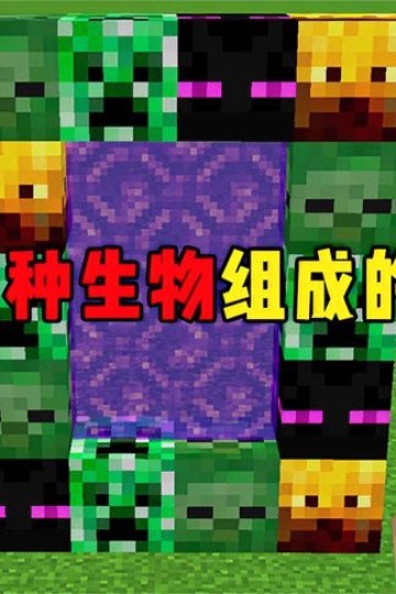 我的世界:你知道用四种生物组成的传送门,会变什么样吗?