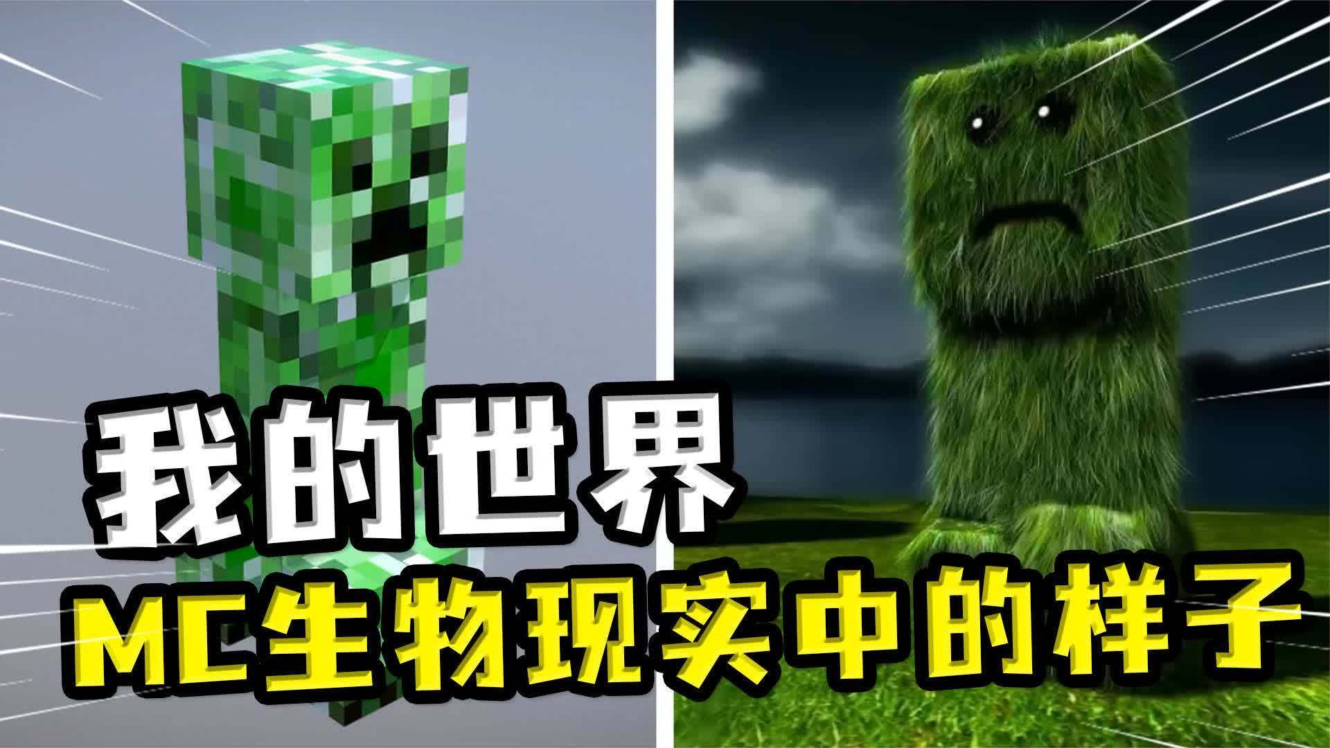 MC生物现实中的样子?现实中的苦力怕也太萌了吧