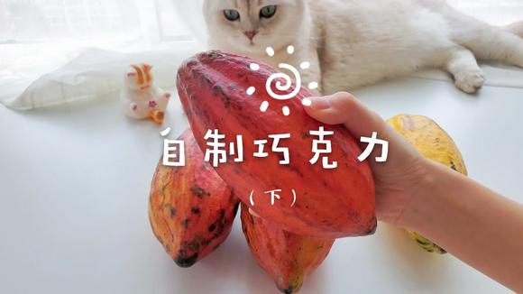 从可可豆到巧克力,原来过程这么神奇!