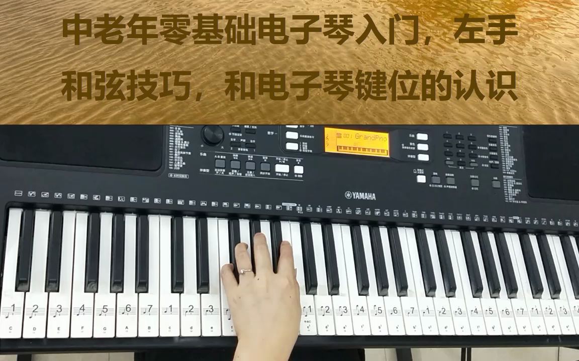中老年零基础电子琴入门,左手和弦技巧,和电子琴键位的认识