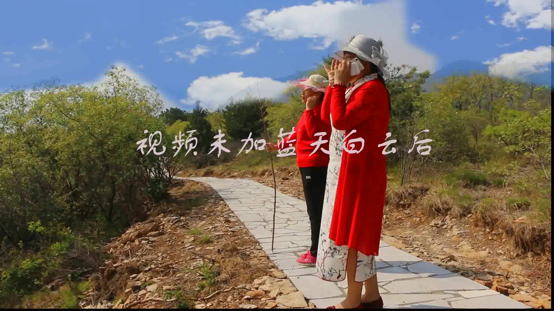 2018多情学AE习作022视频抠像换蓝天白云篇