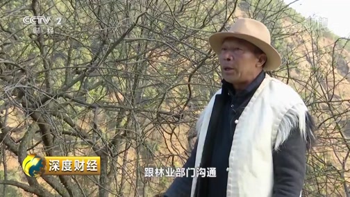 [深度财经]这位村主任竟然几年内让村民收入翻了几倍 他是如何做到的?