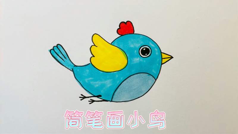 动物简笔画：蓝色小鸟