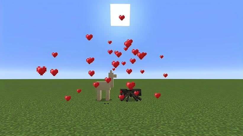 我的世界:羊驼+蜘蛛=?