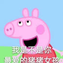 动画解说 