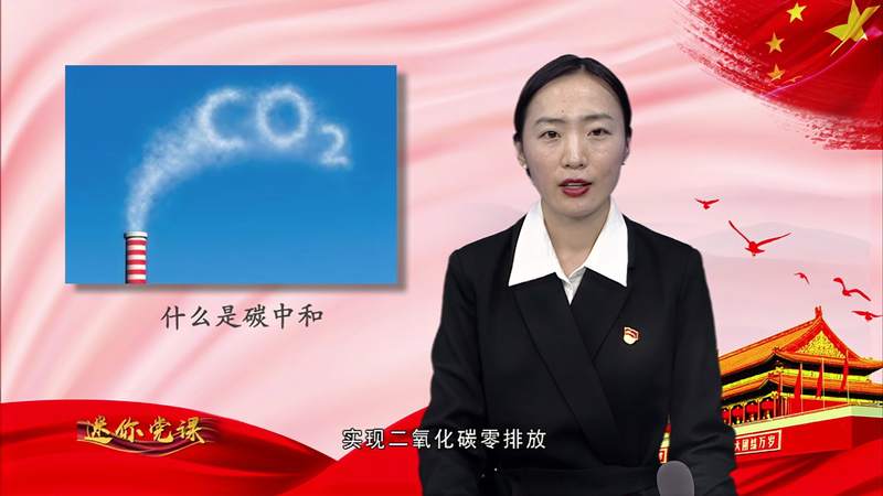 迷你党课丨什么是碳中和