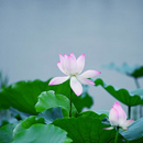 踏遍河山超热爱生活 