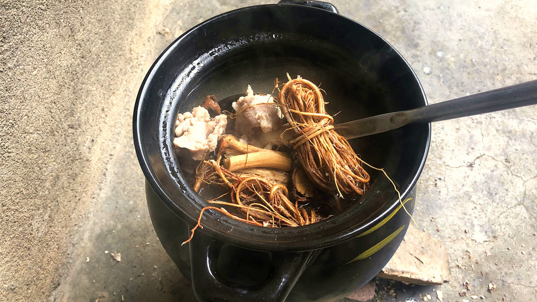 最近挖土茯苓太累了,去挖些五指毛桃回来煲猪骨汤,味道太赞了!