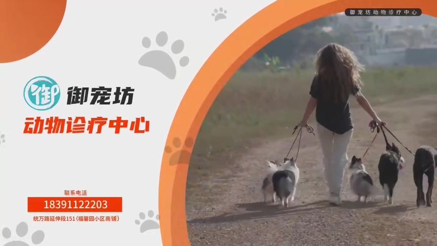 ߘ�ߘ�ߘ�#宠物医院 #宠物医院的那些事