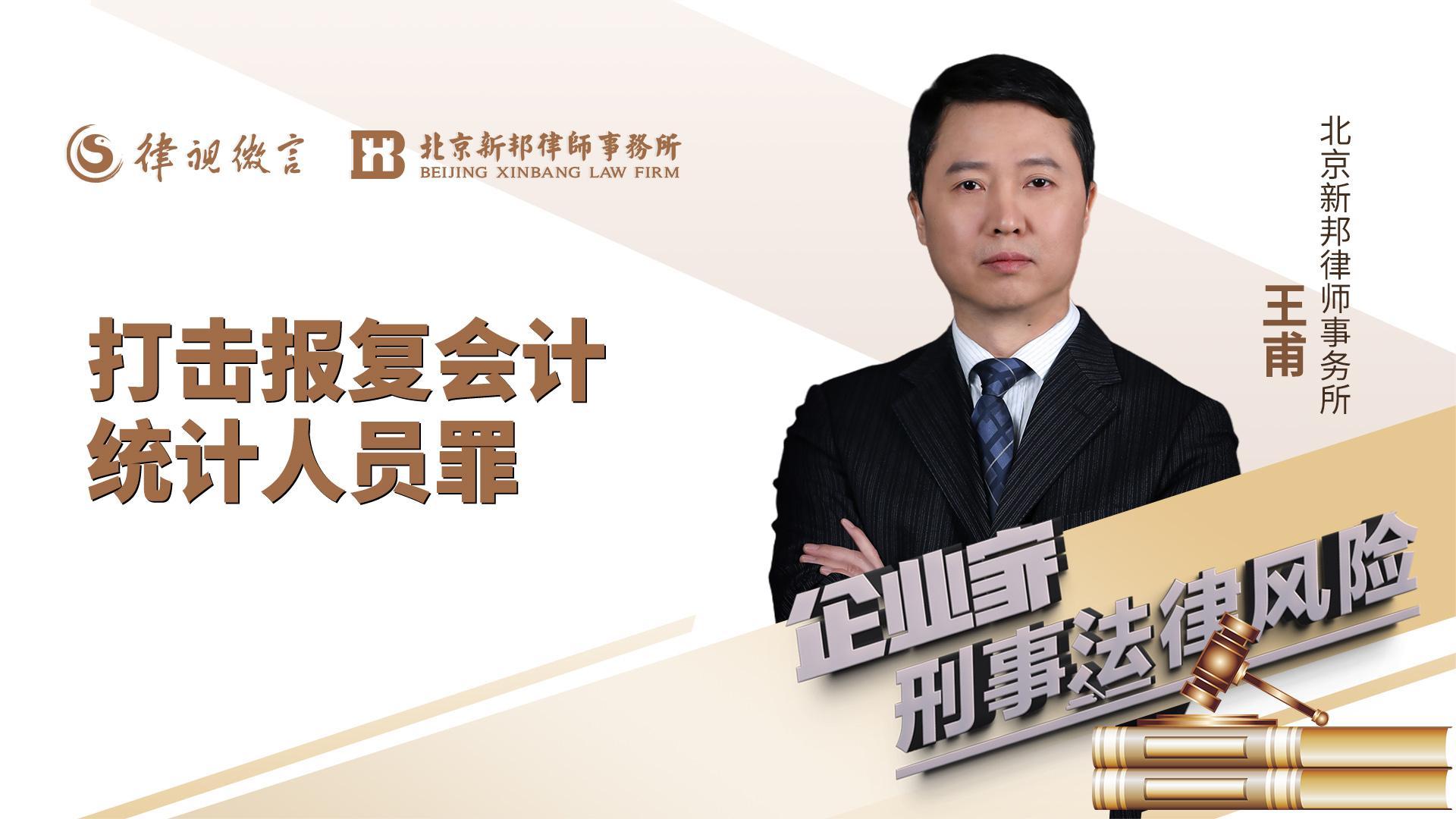 打击报复会计、统计人员罪