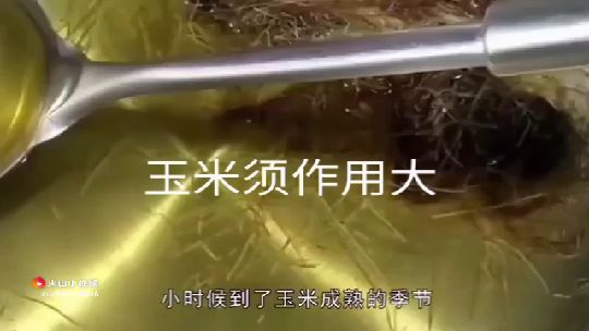 玉米须的功效与作用，