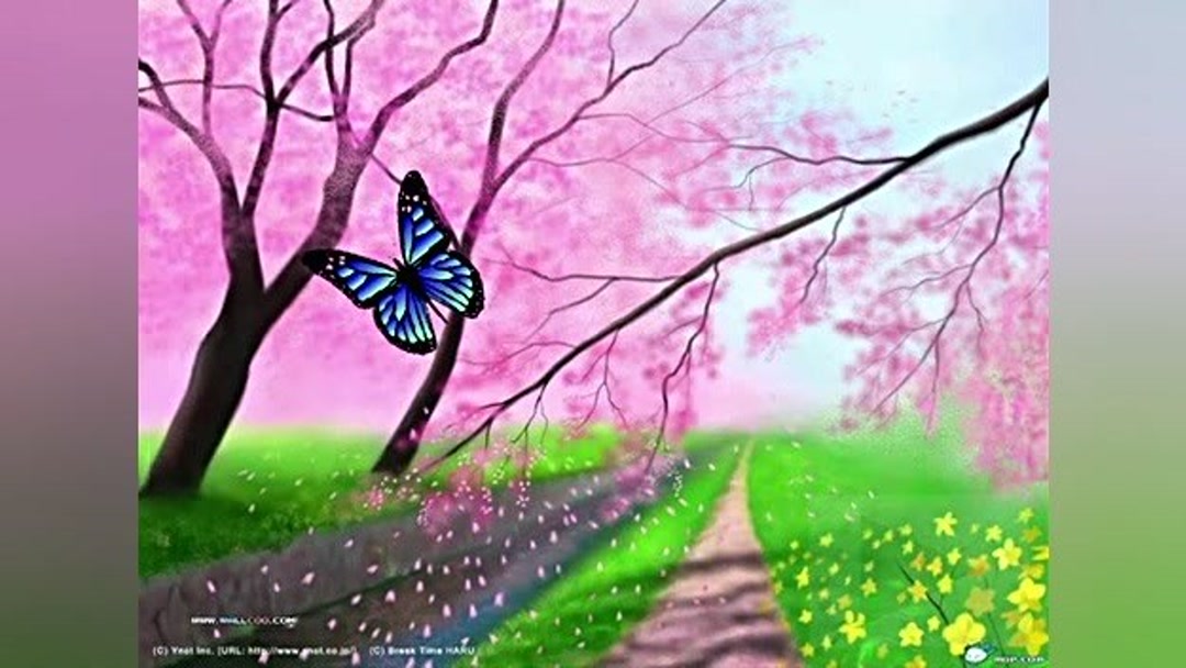 小学美术_湘美2011课标版_5. 线的表现力