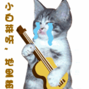 魔力学堂小白菜 