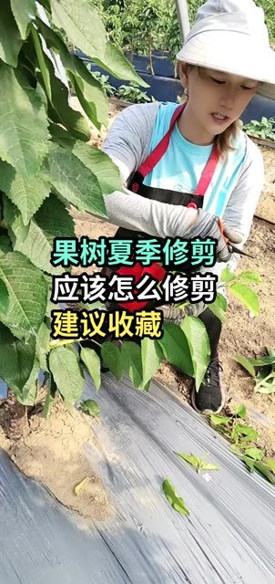 拍这个视频笑死我了你们笑了吗?笑得评论一下小黄车是夏季控旺...
