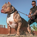 儿童的欢乐时刻 