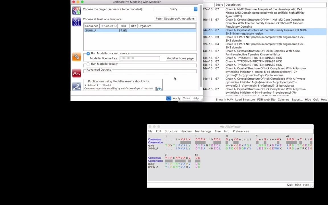 SWISS-MODEL同源建模