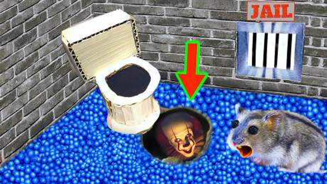 仓鼠在厕所从暗道逃跑,出来才发现有个小丑在里面