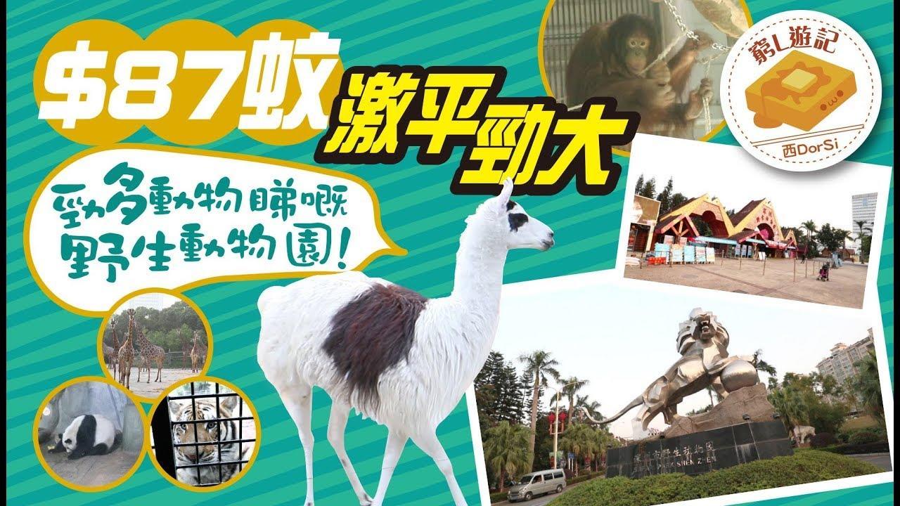 [游记·深圳行程篇] 一探深圳野生动物园