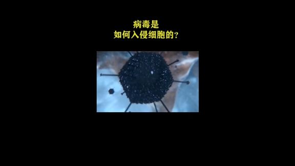 病毒是如何入侵到细胞中的?