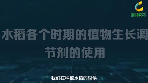 水稻各个时期植物生长调节剂的使用,你学会了吗?