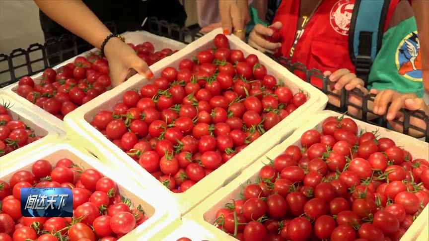 商丘:小学生变身“超市员工”社会实践增本领