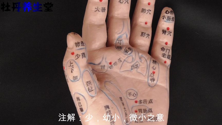 少商功能及主治:咽喉肿痛,中风昏迷,小儿惊风,热病,中暑呕吐