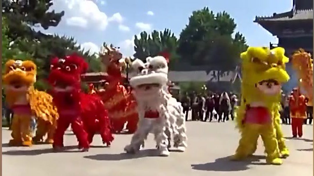 舞狮子表演视频高清 舞狮子表演视频高清