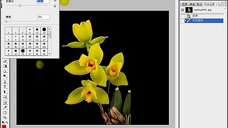 ps基础教程15仿制图章工具_标清