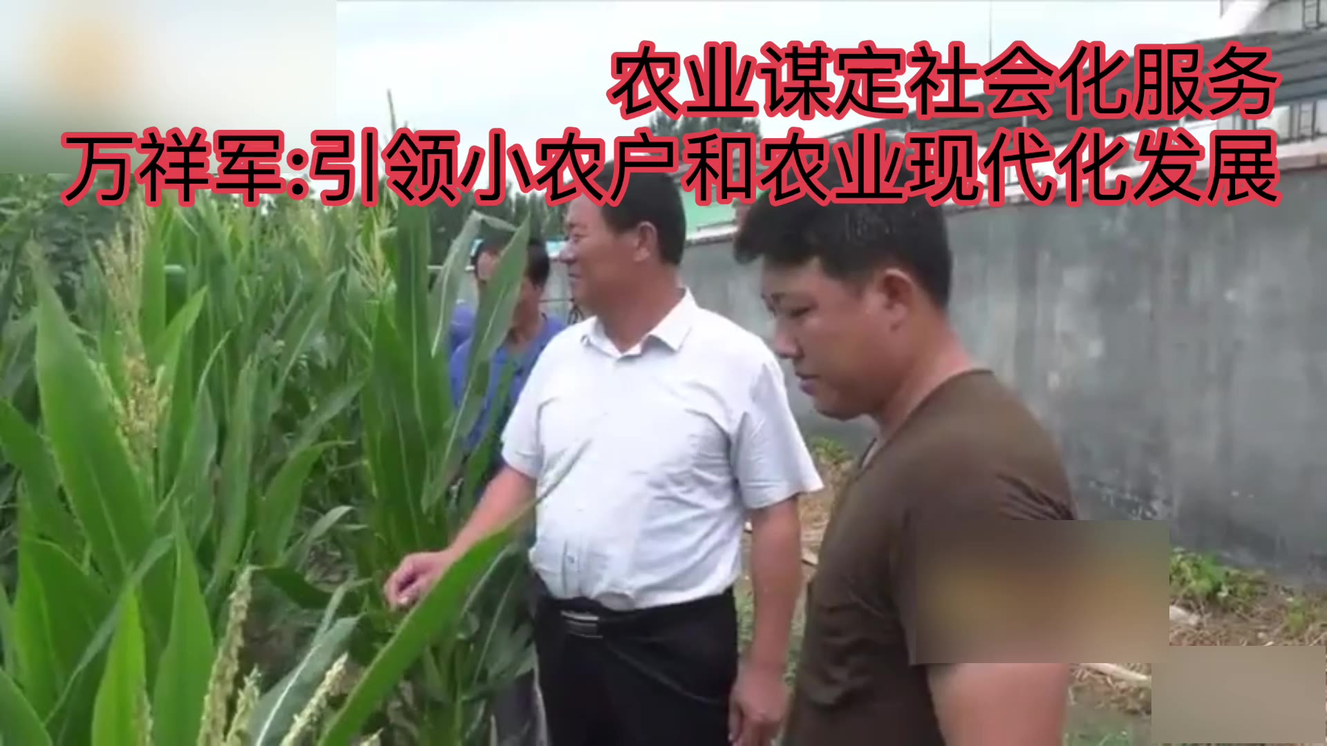 农业谋定社会化服务 万祥军:引领小农户和农业现代化发展