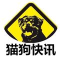 猫狗快讯 