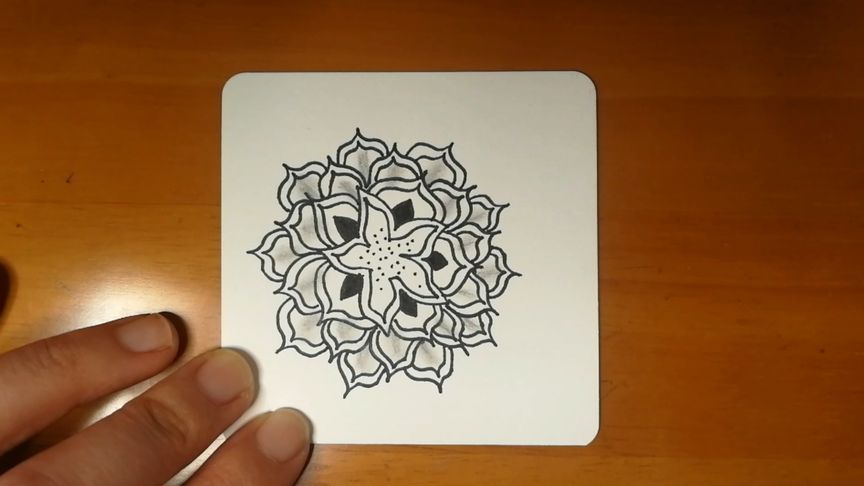 谁都能画的禅绕画,零基础学画,减压放松心灵瑜珈一聚伞花序