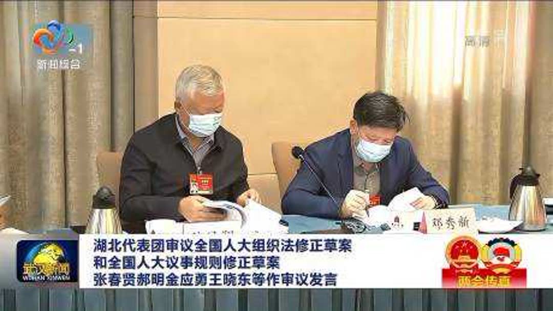 湖北代表团审议全国人大组织法修正草案