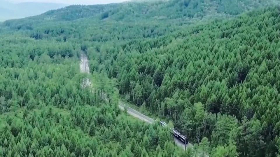 走进莫尔道嘎国家森林公园的山高林密