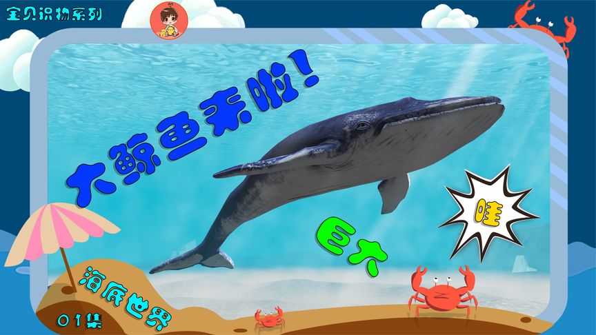 海底世界出现大鲸鱼!早教认知系列动画