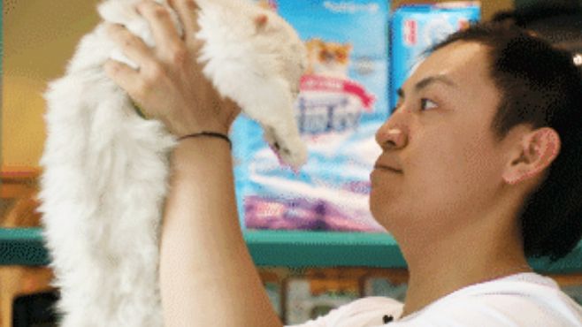 90后暖男花几十万,只为考宠物美容师,仅仅对宠物有爱还不够