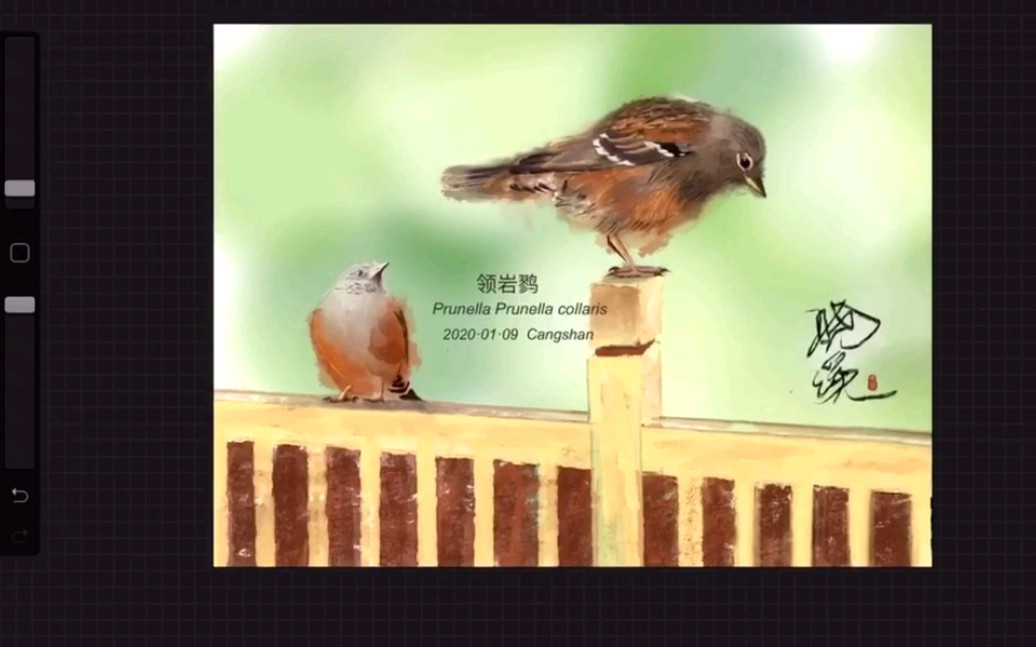 【Procreate】签名笔刷教程, 第一次做教程多多指教