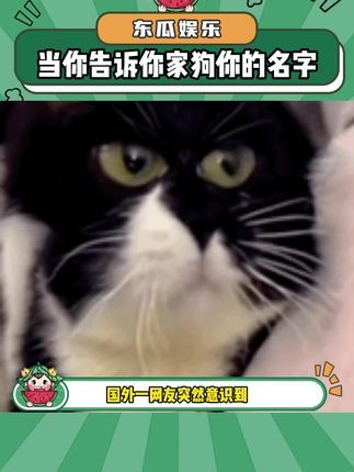 当你告诉你家狗你的名字#搞笑 #万万没想到 #娱乐评论大赏